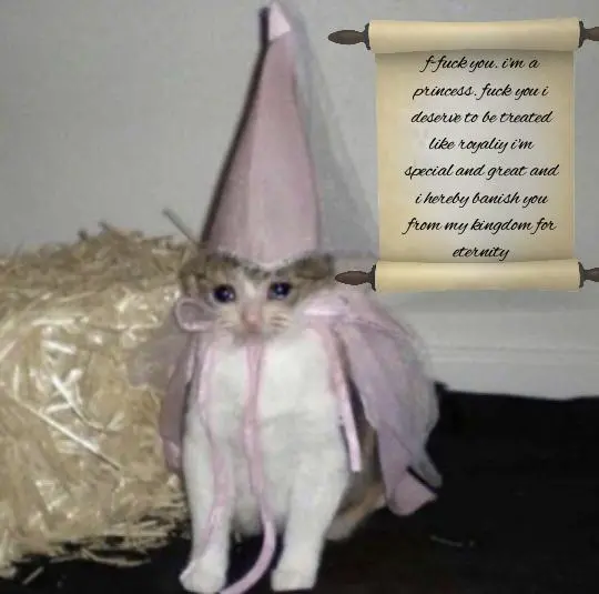 Im A Princess Scrolller