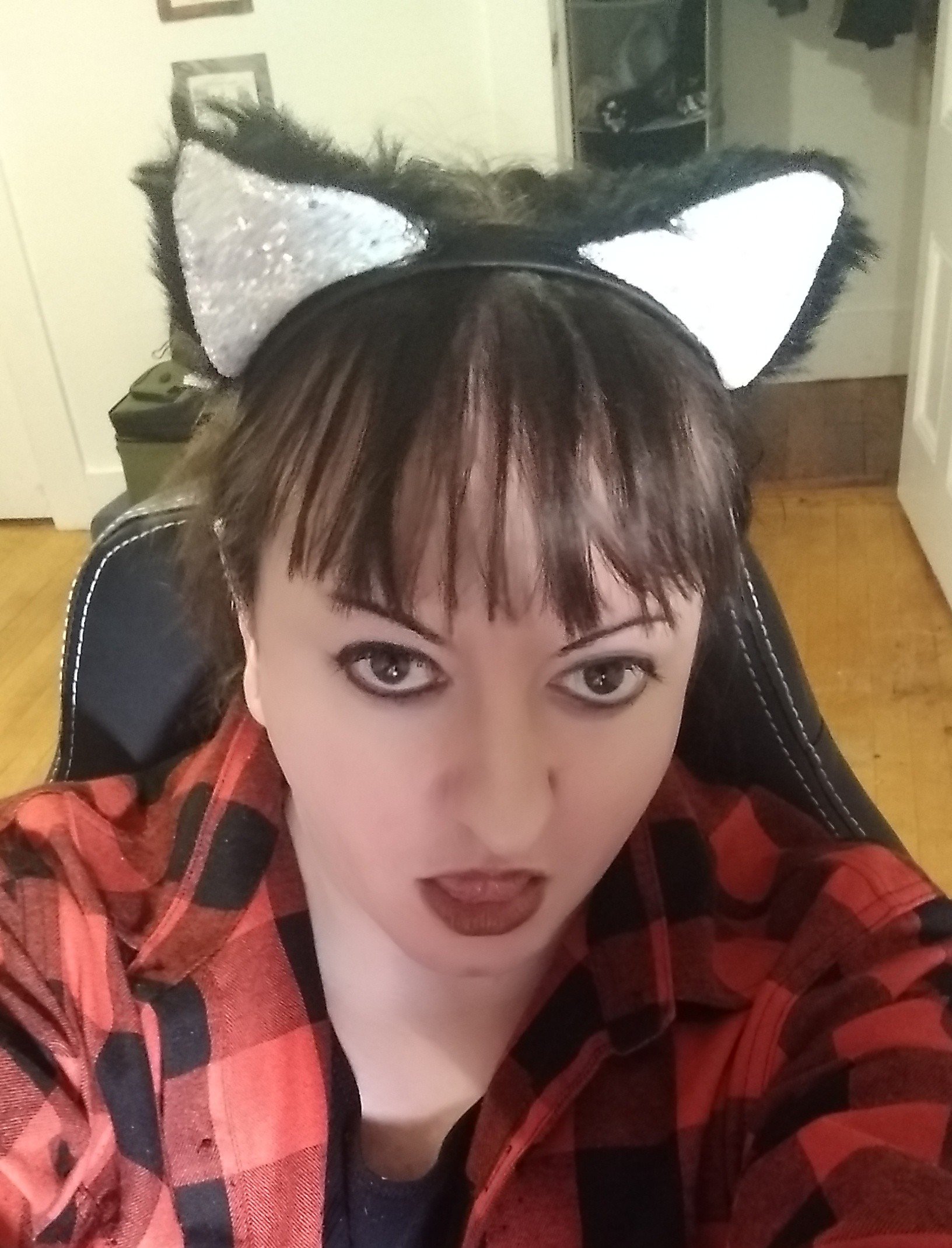 I'm a vampire kitty! 39F | Scrolller