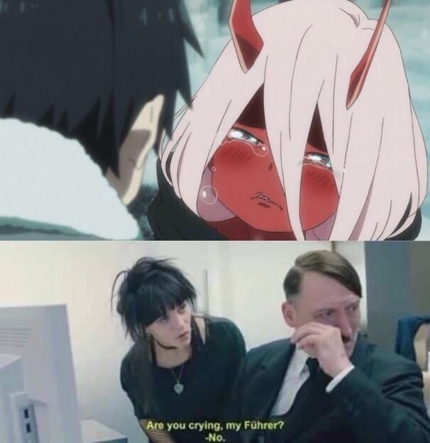 I'm definitely crying | Scrolller