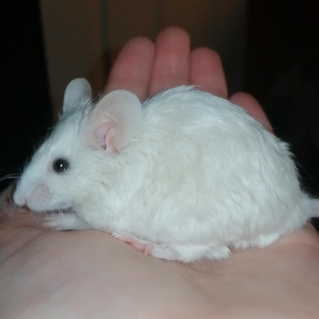 im envious of her natural beach waves 🌊💕 | Scrolller