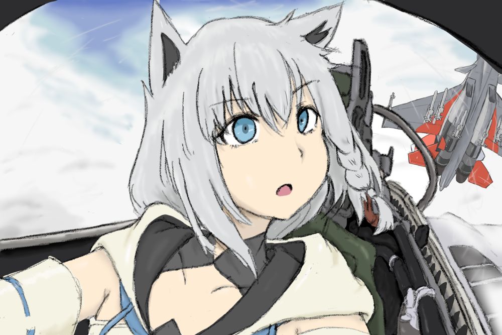 Im gonna watch Fubuki play Ace Combat 7 later | Scrolller