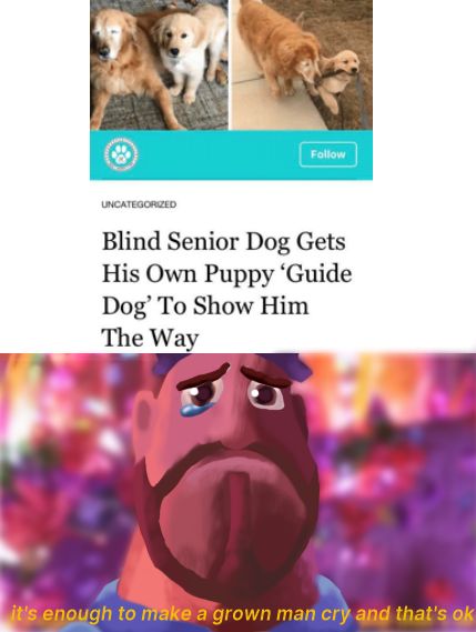 I'm not crying you're crying | Scrolller