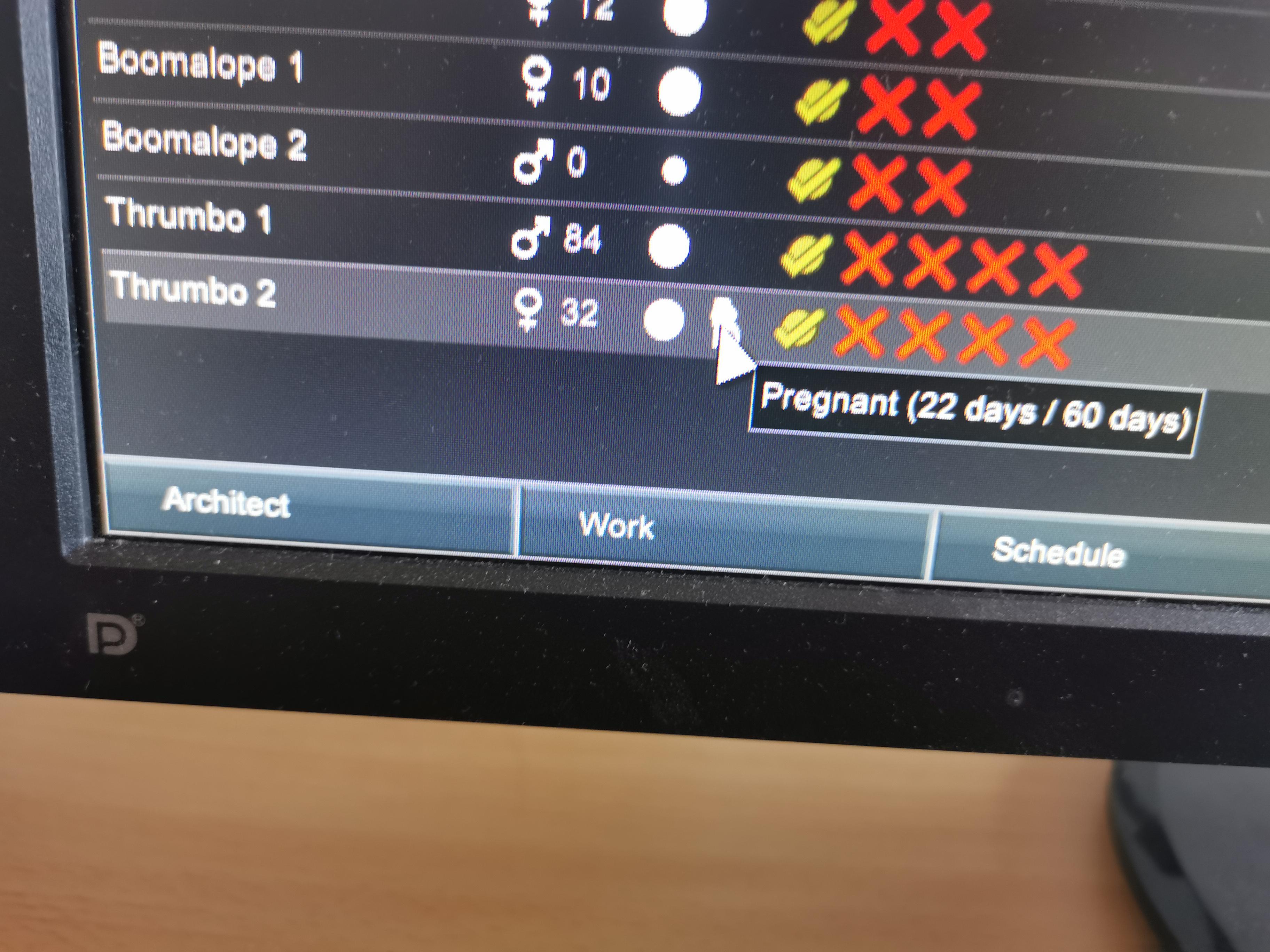 I'm so excited | Scrolller