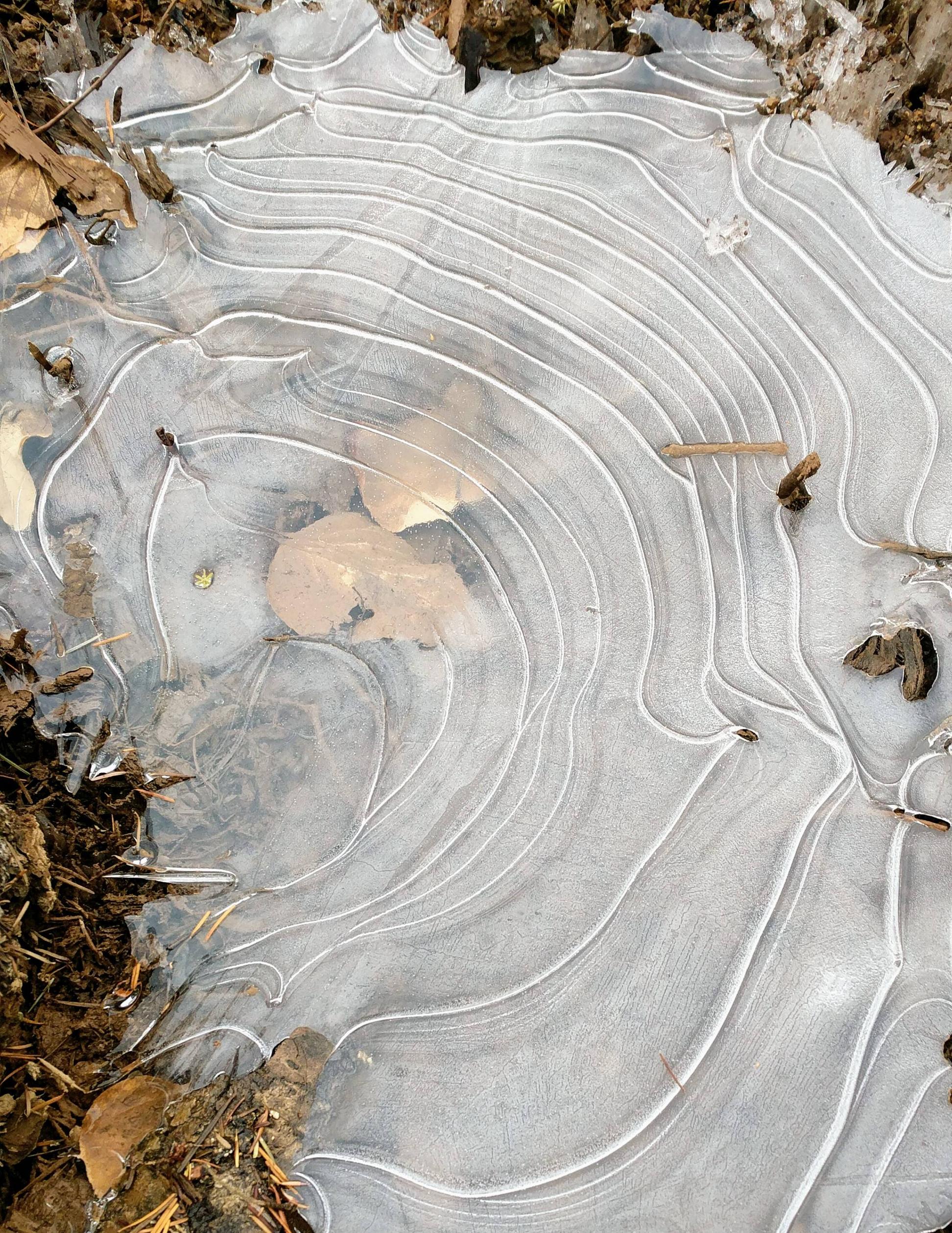 I'm told you guys like frozen puddles... | Scrolller