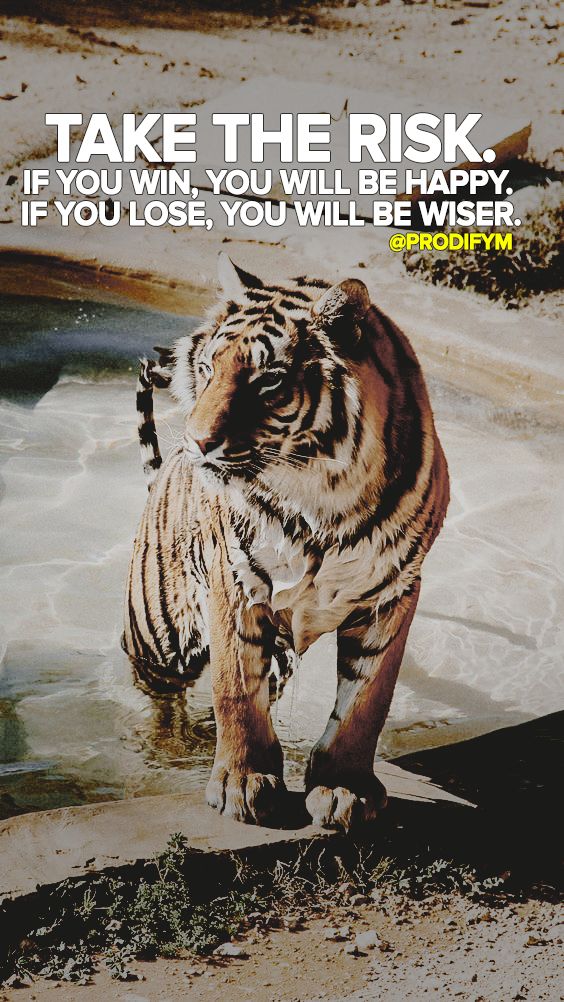 [image] Take the risk. | Scrolller