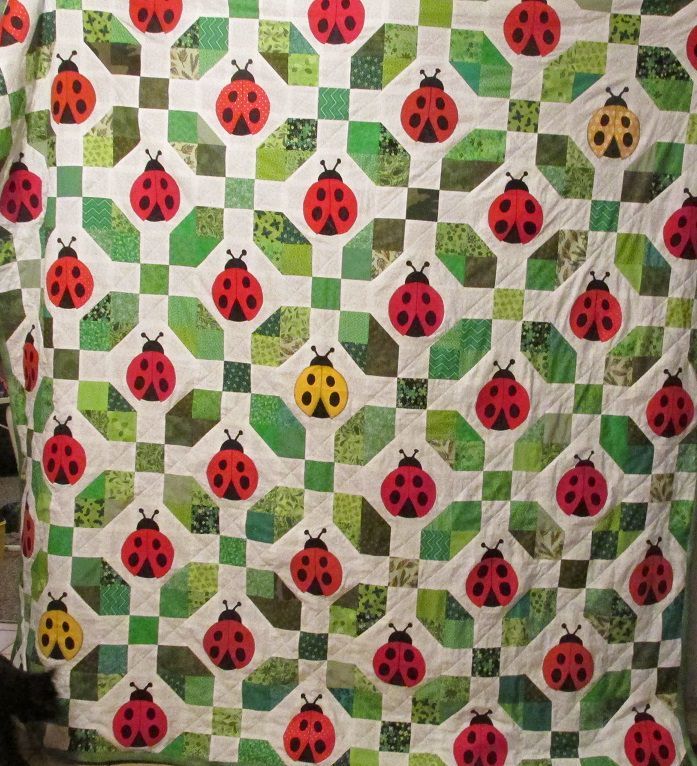 IMG_1966 | Scrolller