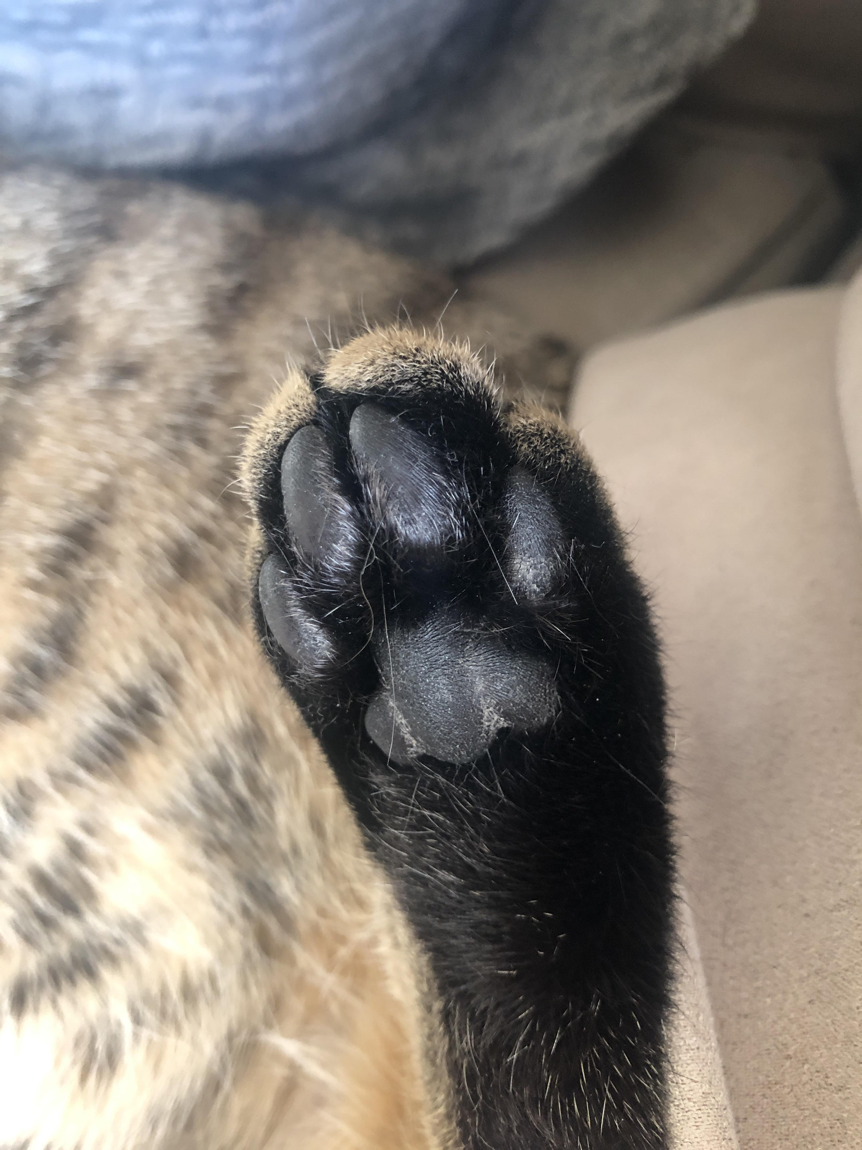 Important photo | Scrolller