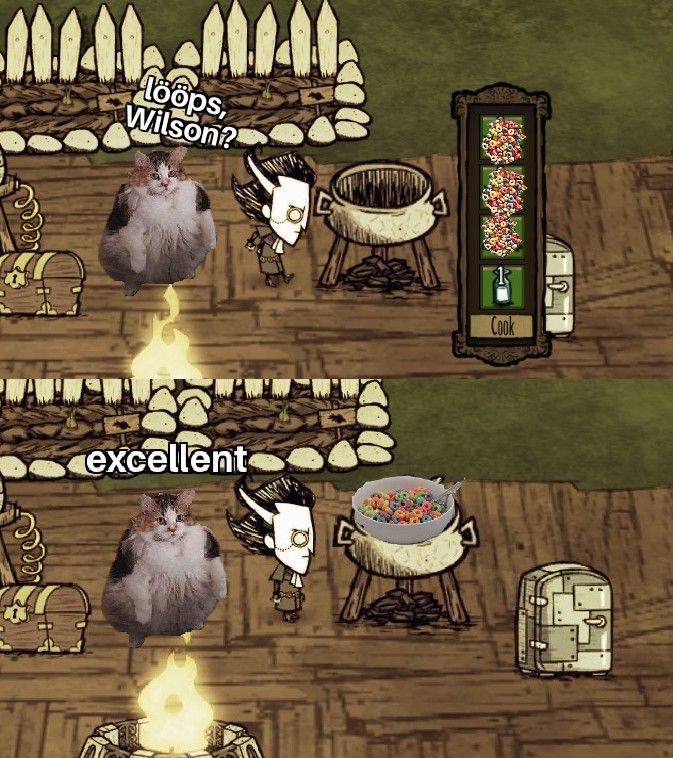 In loving memory of lööps cat | Scrolller