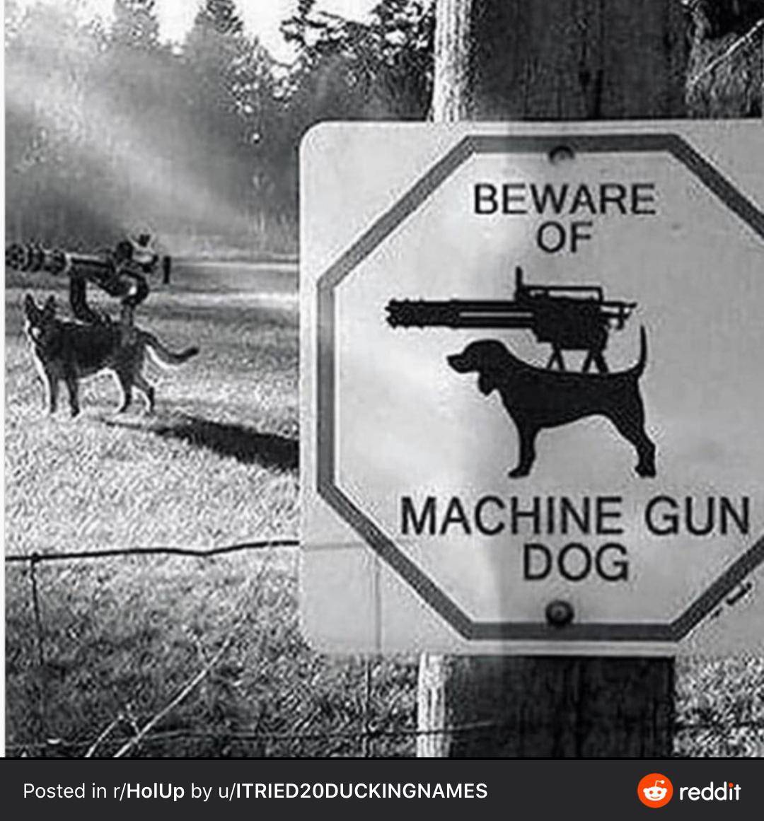 In Soviet Russia, dog shoots ATF | Scrolller