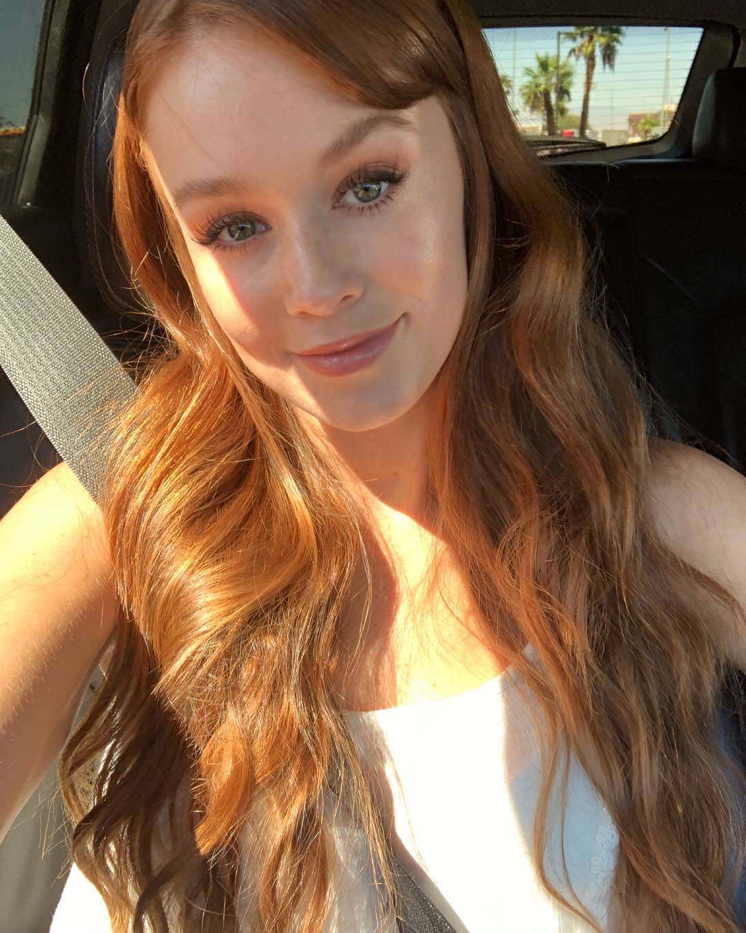 In the car | Scrolller