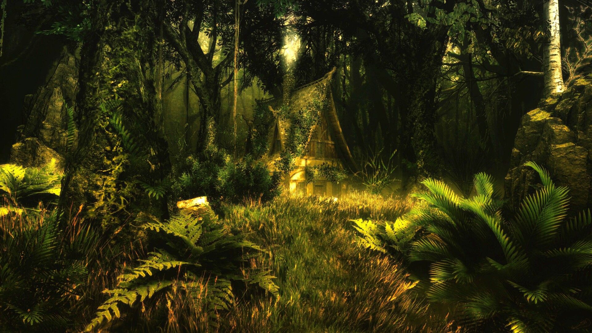 In the Deep Forest | Scrolller