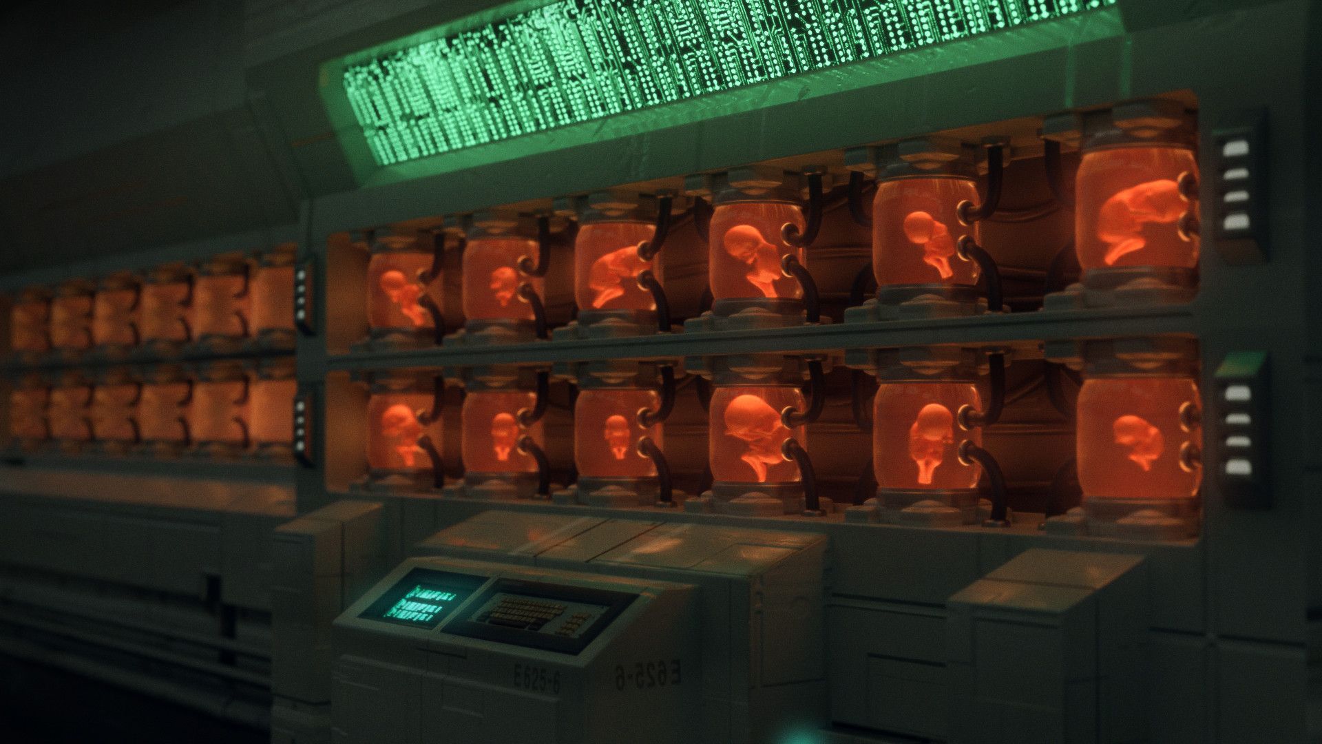 In Utero by Sam Carr | Scrolller