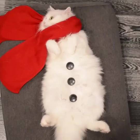 Indoor snowman | Scrolller