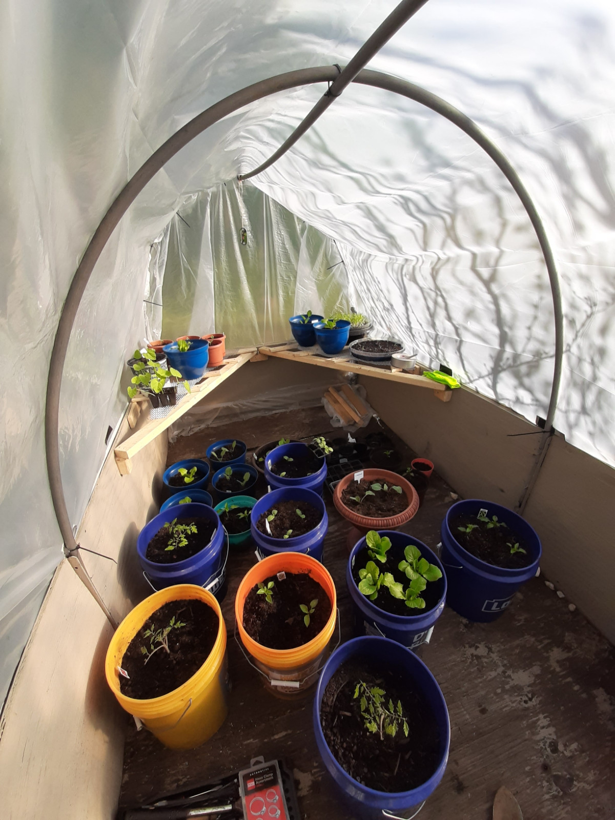 Inside my trailer/greenhouse. Microgreen haven. | Scrolller