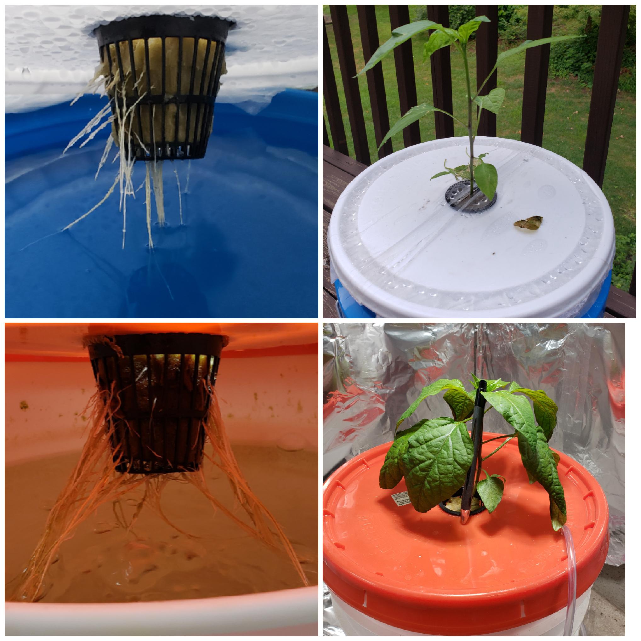 Inside vs. Outside | Scrolller