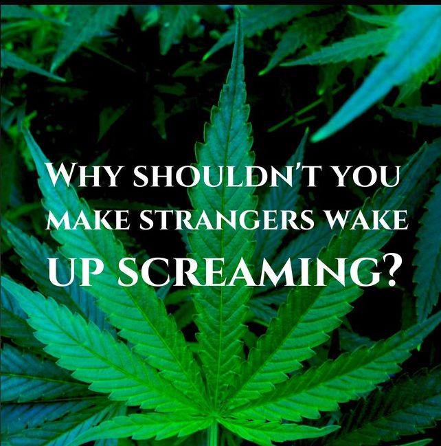 Inspirobot is getting a bit stabby | Scrolller