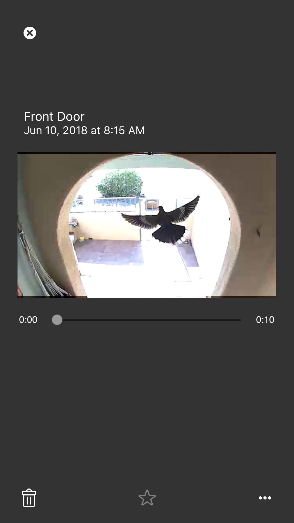 Installed security camera. This was the image from my first text alert sensing movement. | Scrolller