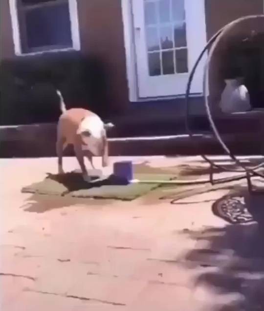 instructions unclear | Scrolller