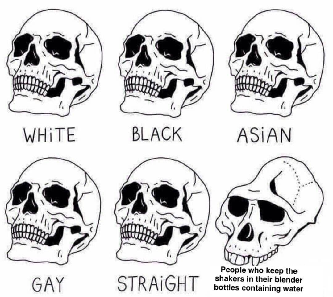 intellect lvl: 100 | Scrolller