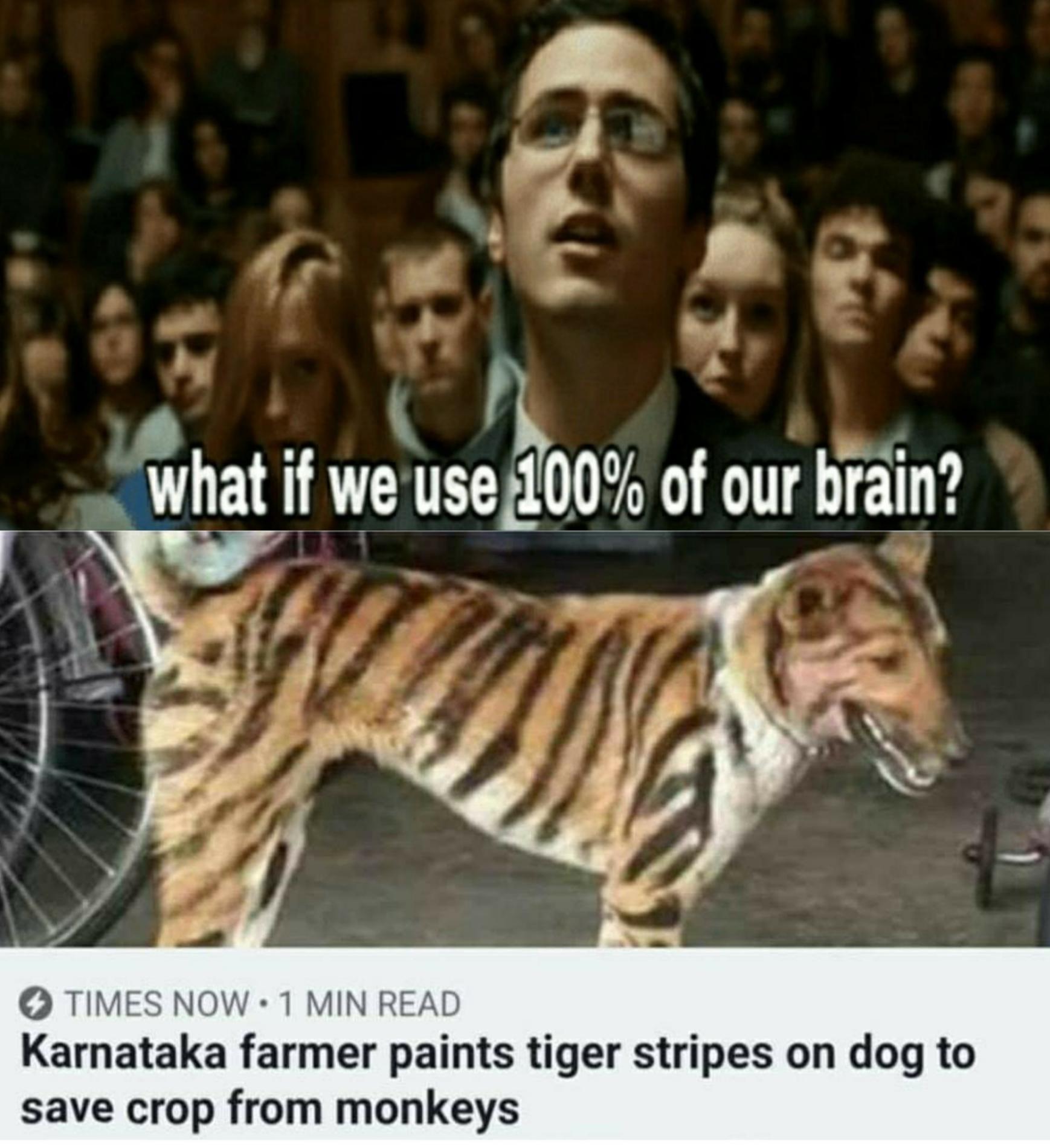 Intelligence 100 | Scrolller