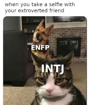 😑 intensifies | Scrolller