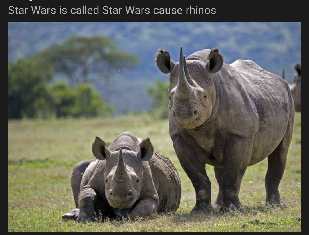 Interesting... | Scrolller