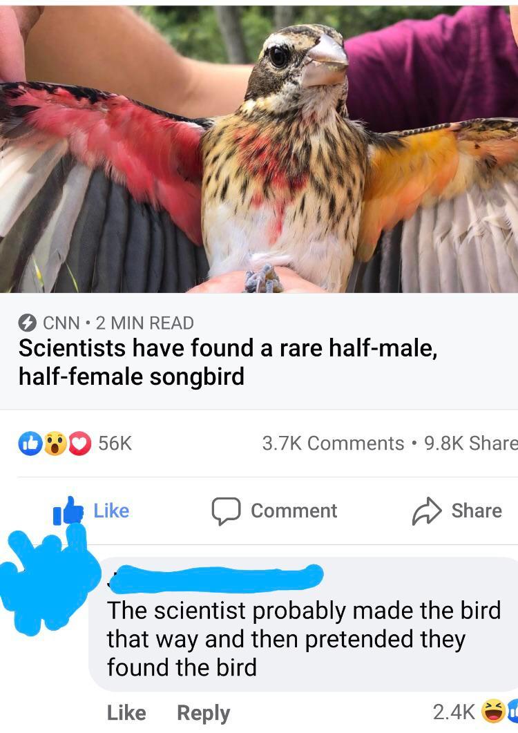 Intersex bird fake! Science bad! | Scrolller