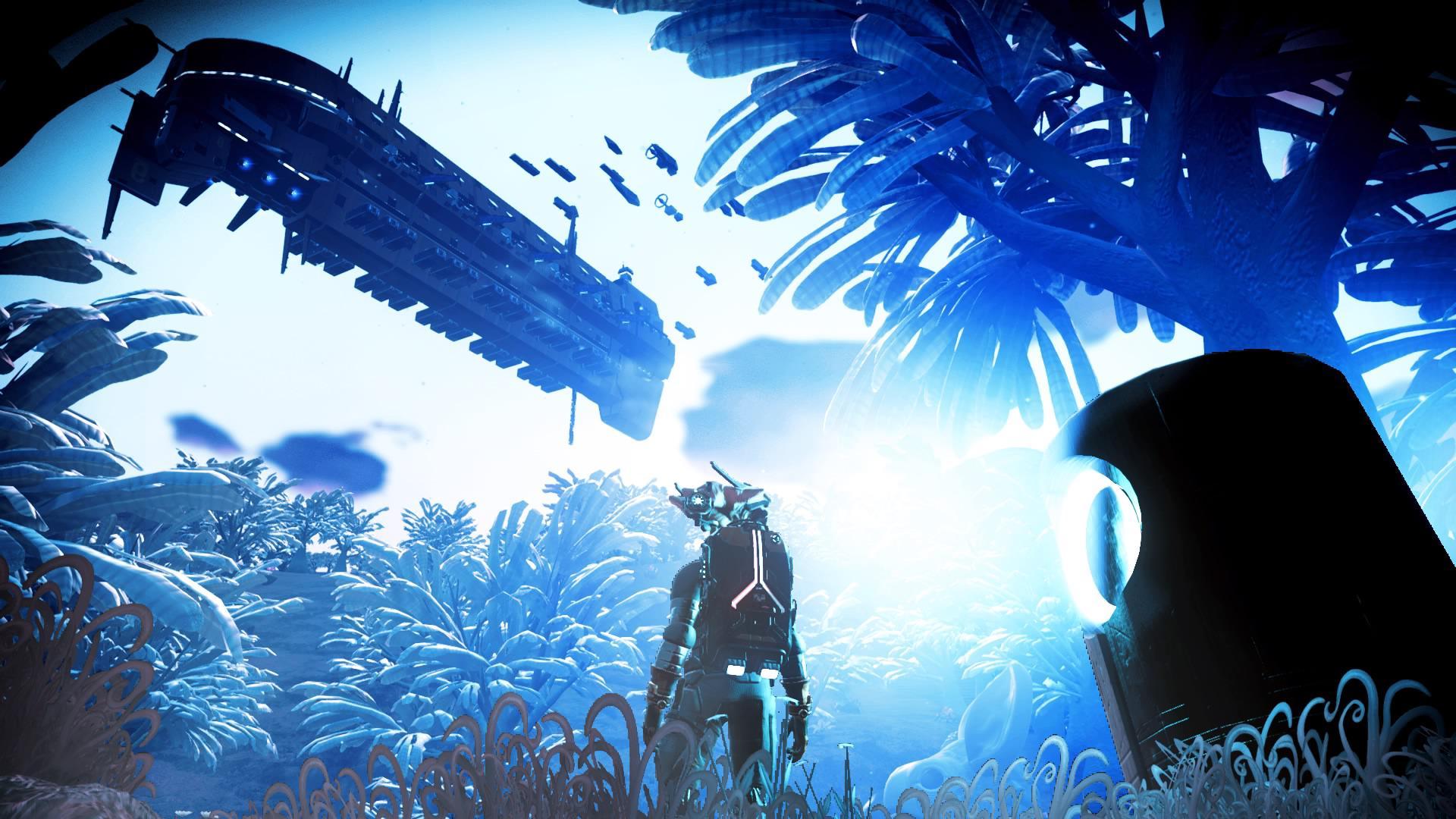 Into the light | Scrolller