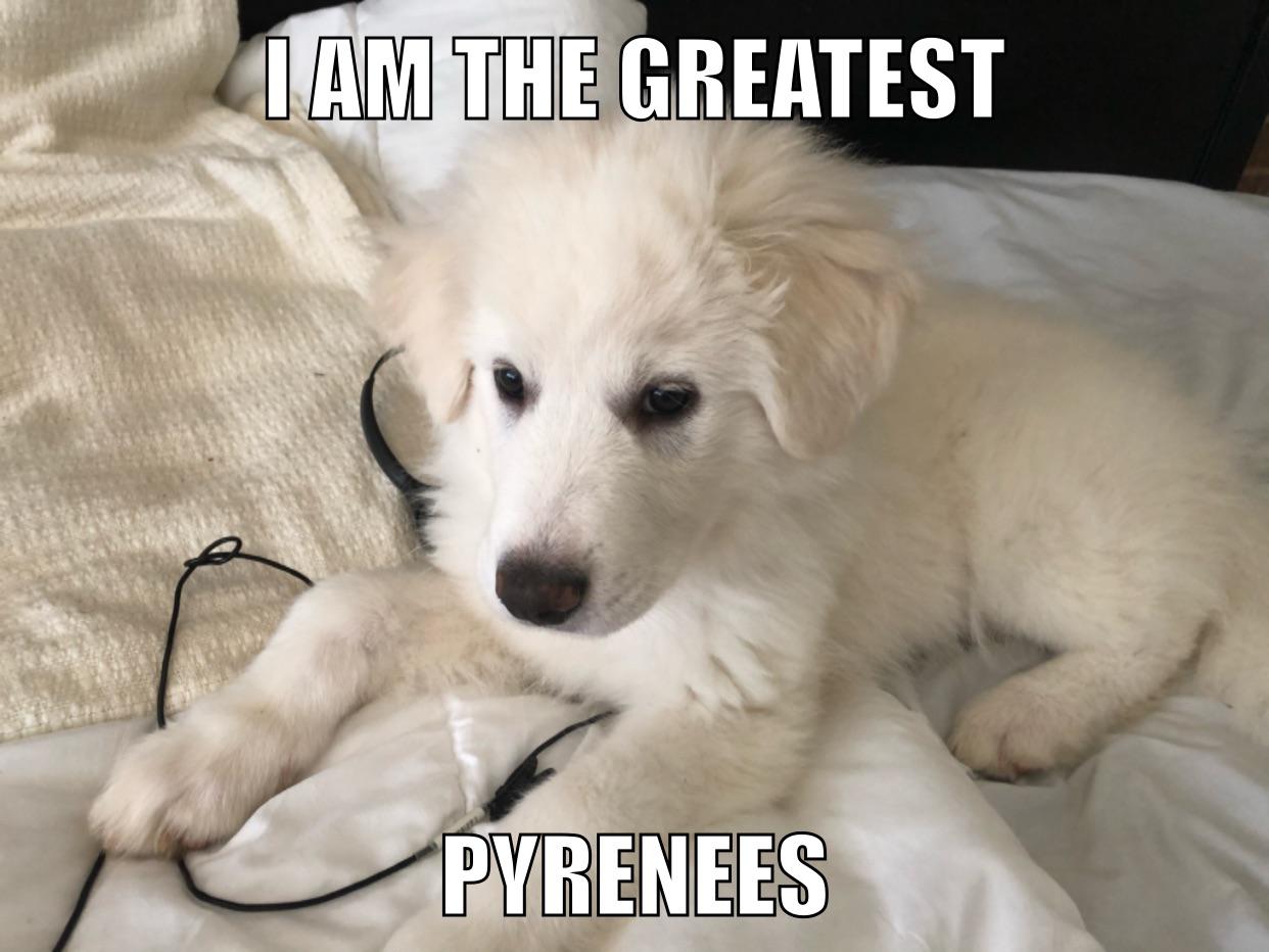 Introducing Madeline | Scrolller