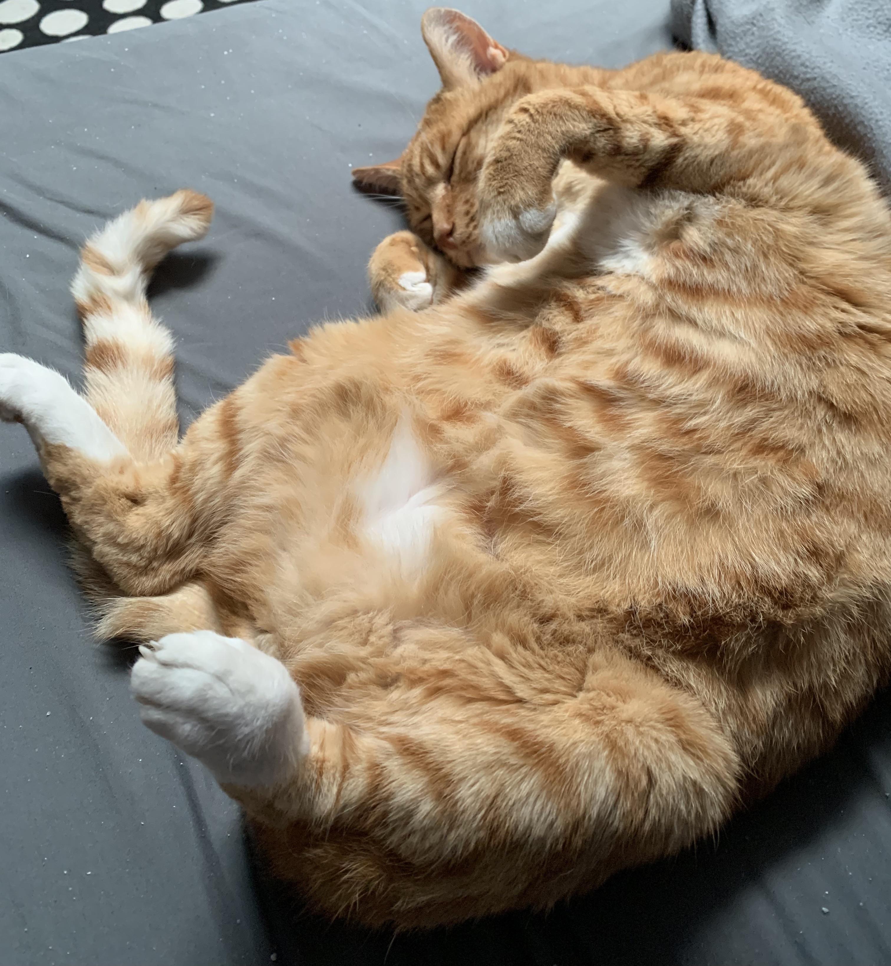 Invitation or trap? | Scrolller