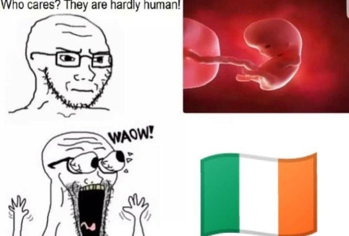 Ir*sh "culture" is nothing but a victim complex | Scrolller