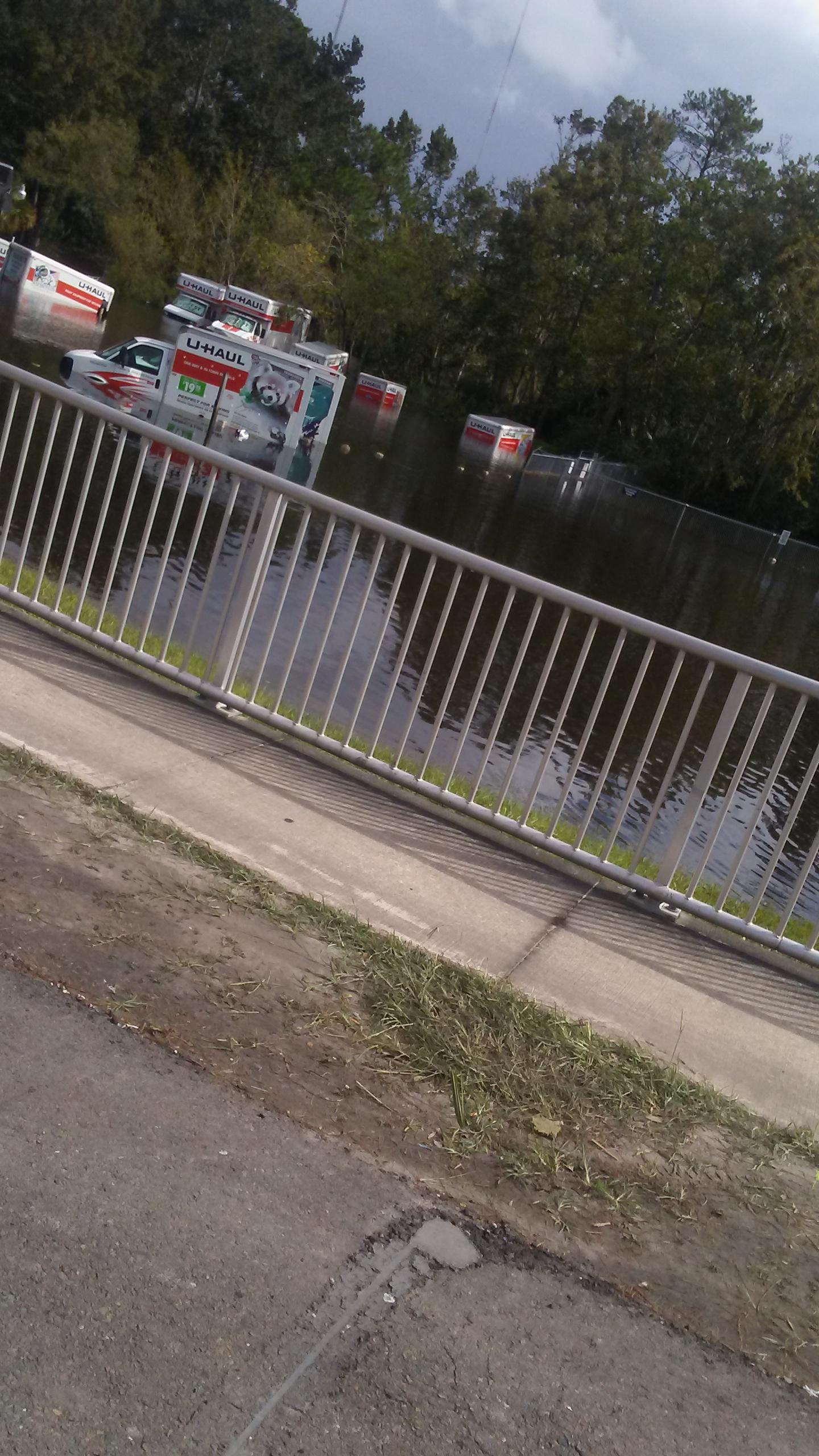 Irma floods jax fl | Scrolller