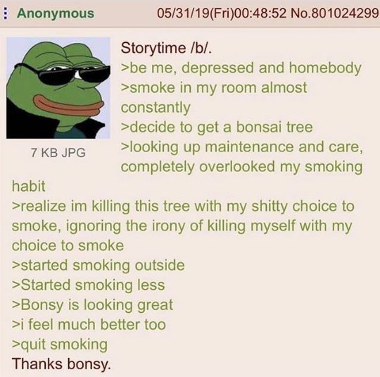 Is bonsai a potential motivator for self improvement? | Scrolller