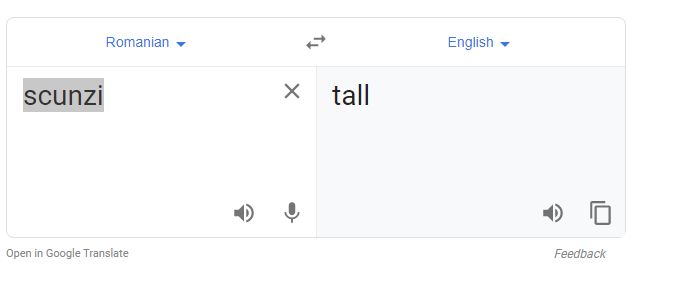 Is google translate wrong? Duolingo says it means short | Scrolller