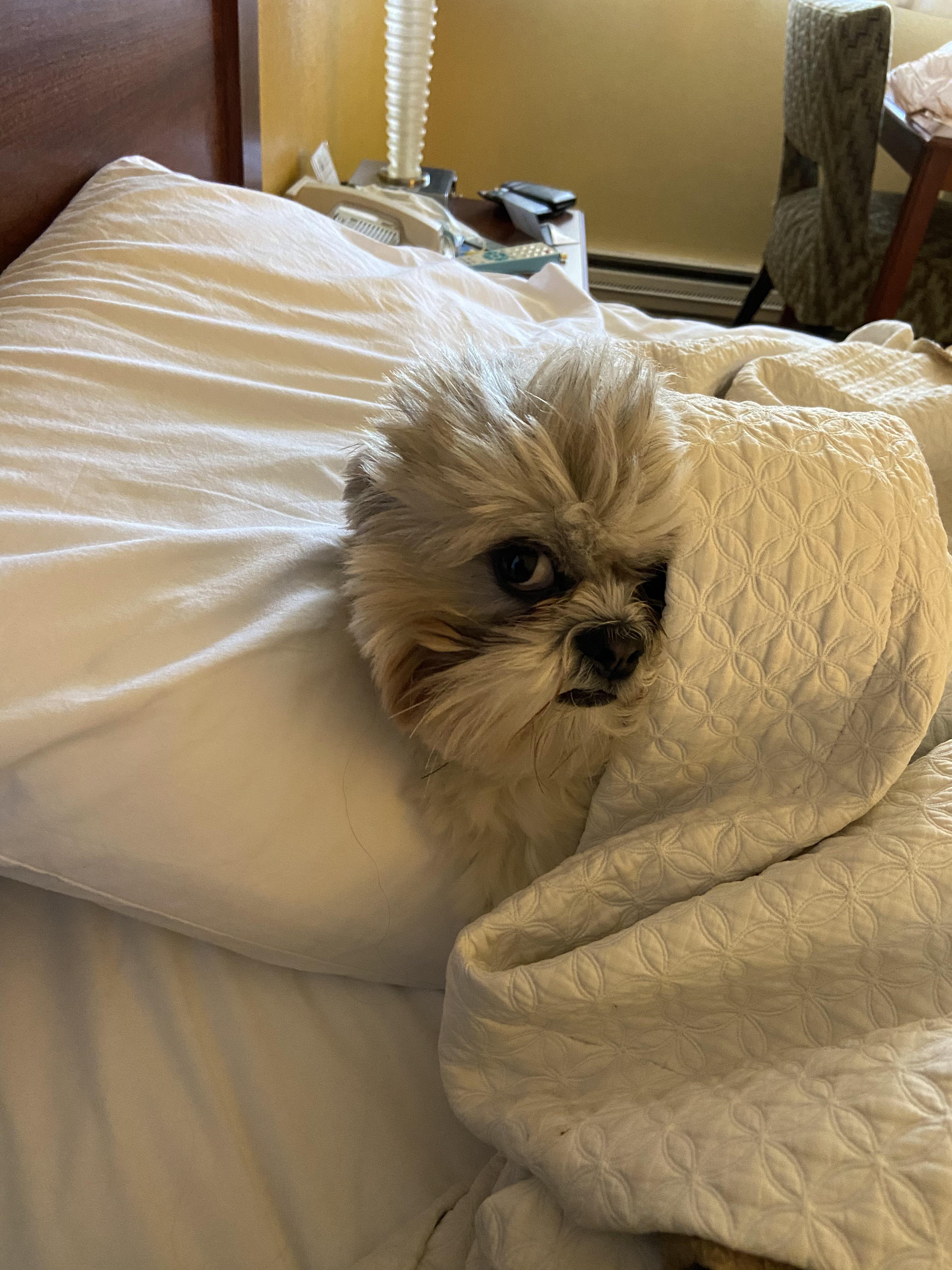 Is it really time to get up? | Scrolller