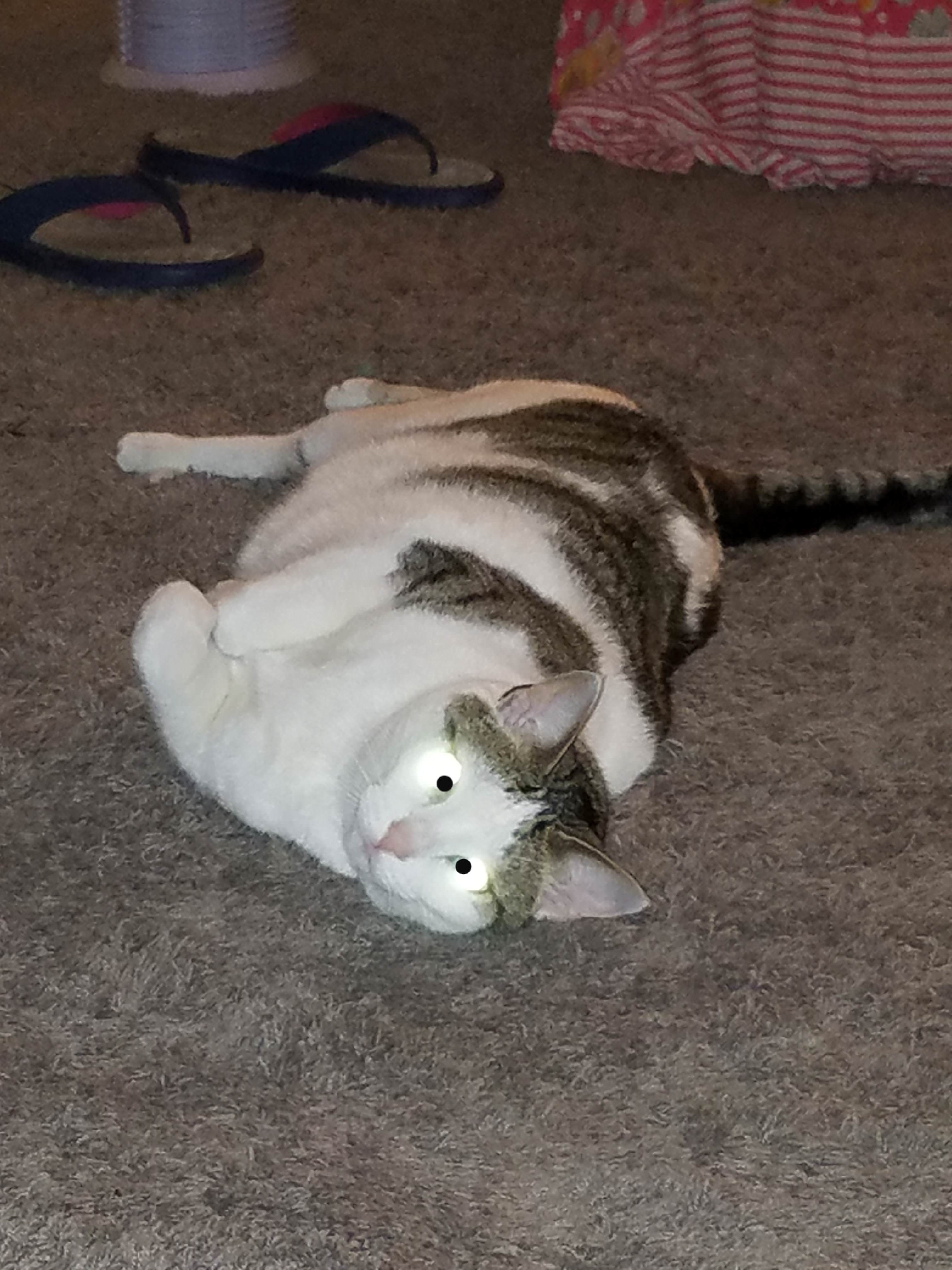 Is this cheating? | Scrolller