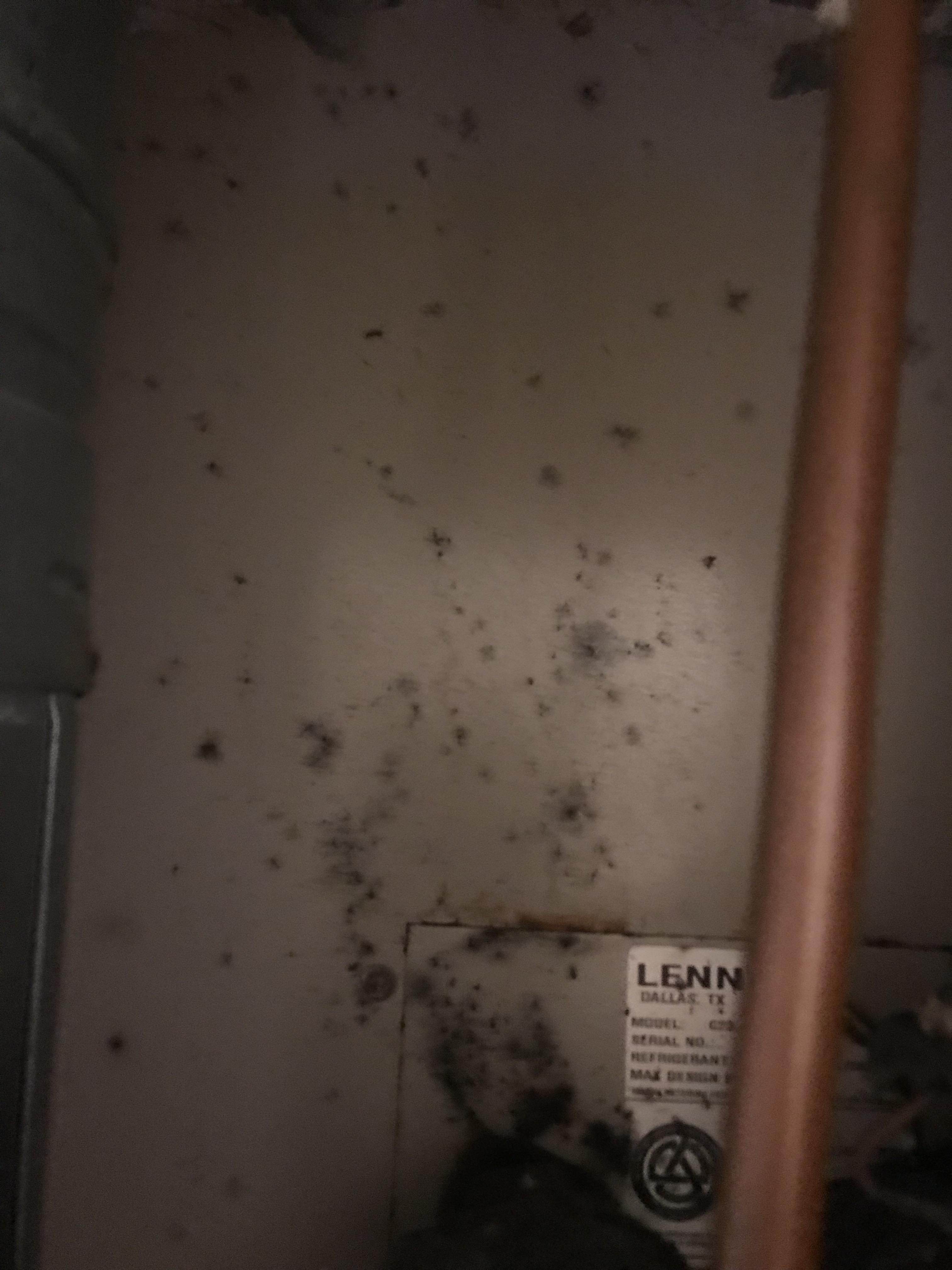 Is this mold on my ac unit? | Scrolller