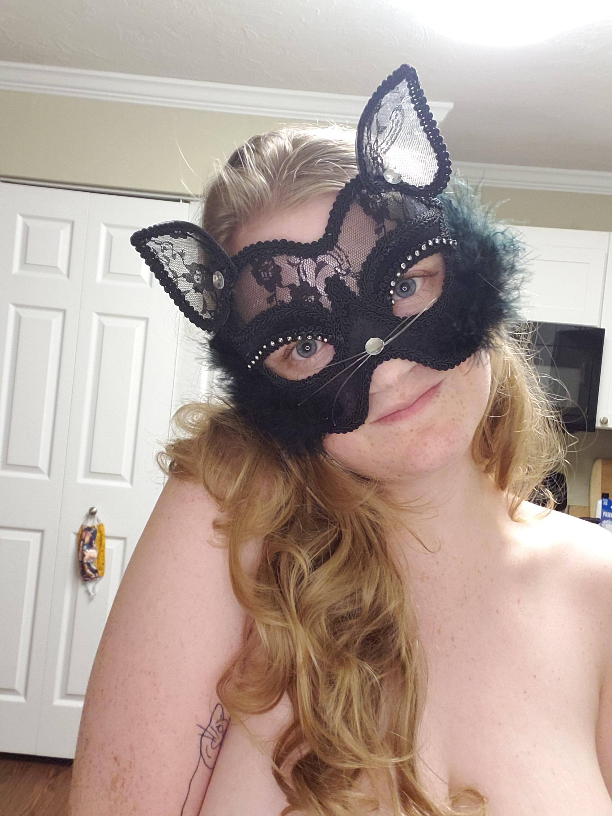 Is this pussy breedable? | Scrolller