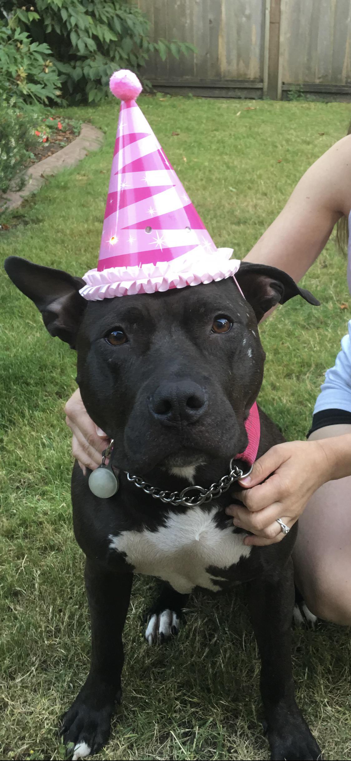 Isla is dead serious about party time. | Scrolller