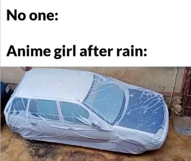 It always happens | Scrolller