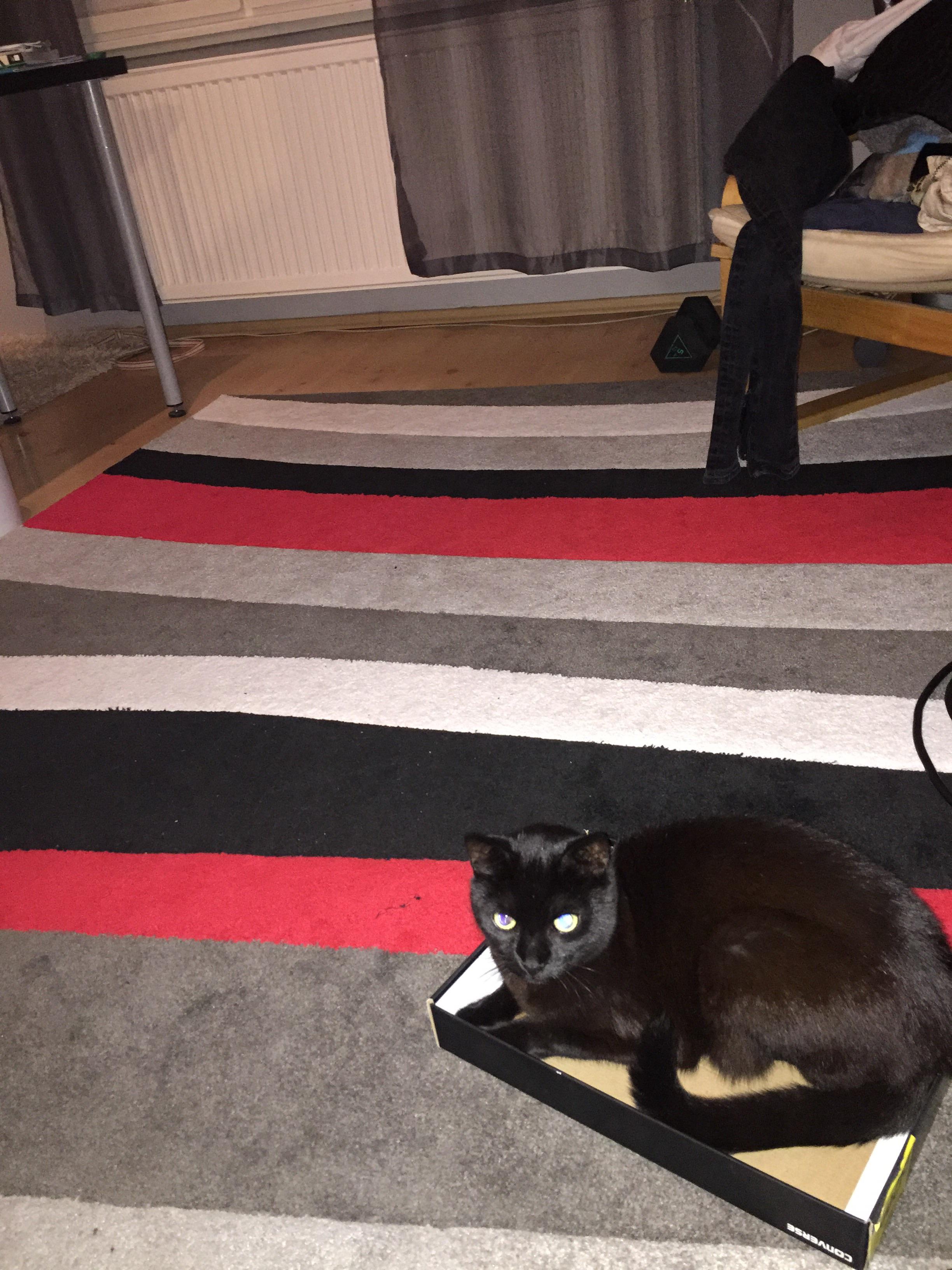 It definitely worked | Scrolller