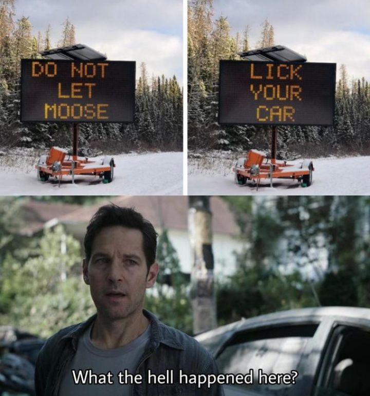 It is a genuine question | Scrolller