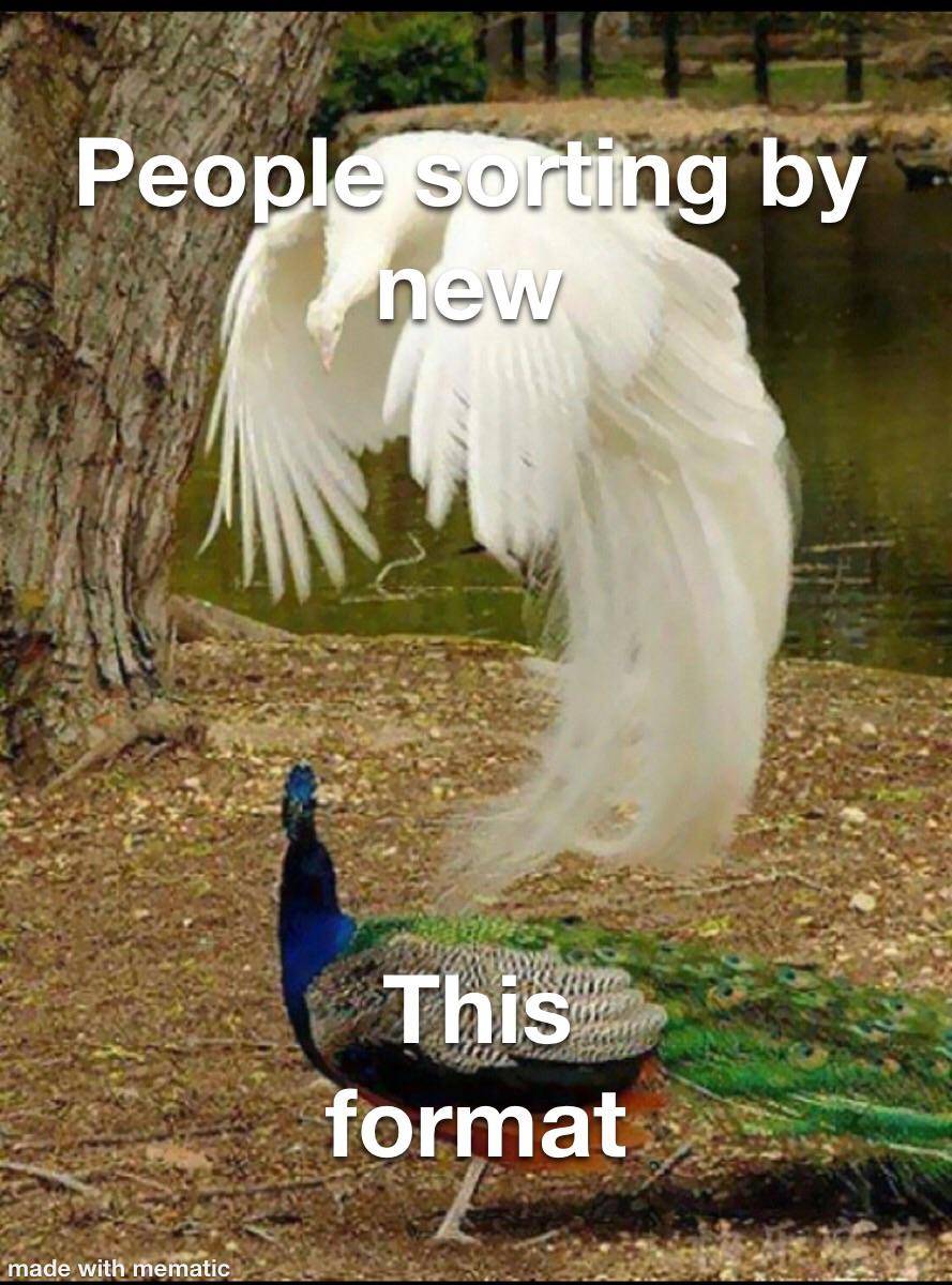 It’s an albino peacock | Scrolller
