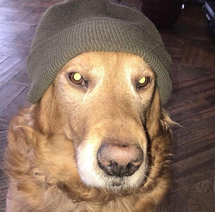 It’s not a phase mom | Scrolller