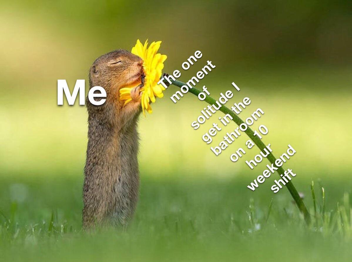 It’s precious | Scrolller