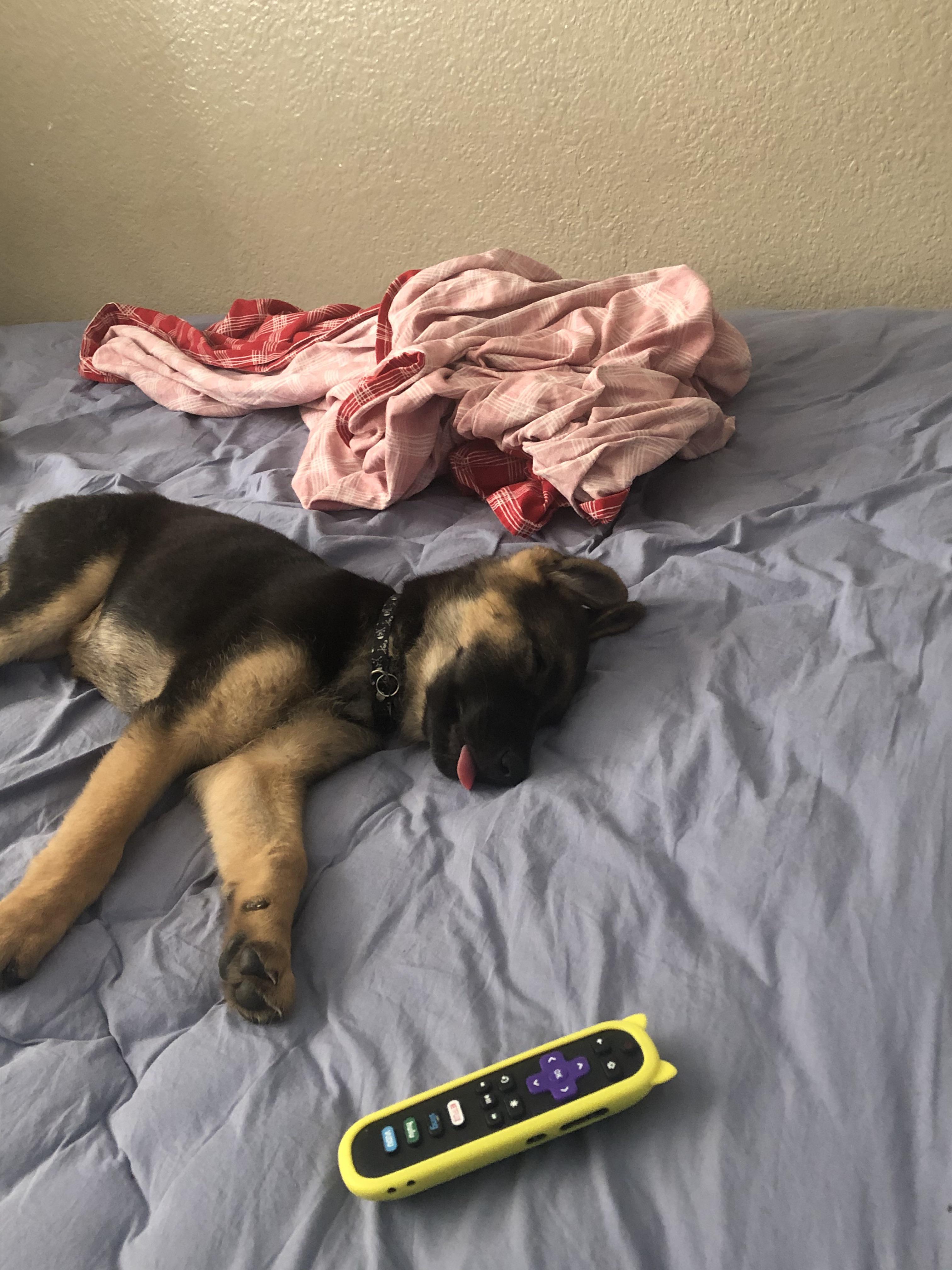 It’s so cute when her tongue sticks out😂 | Scrolller