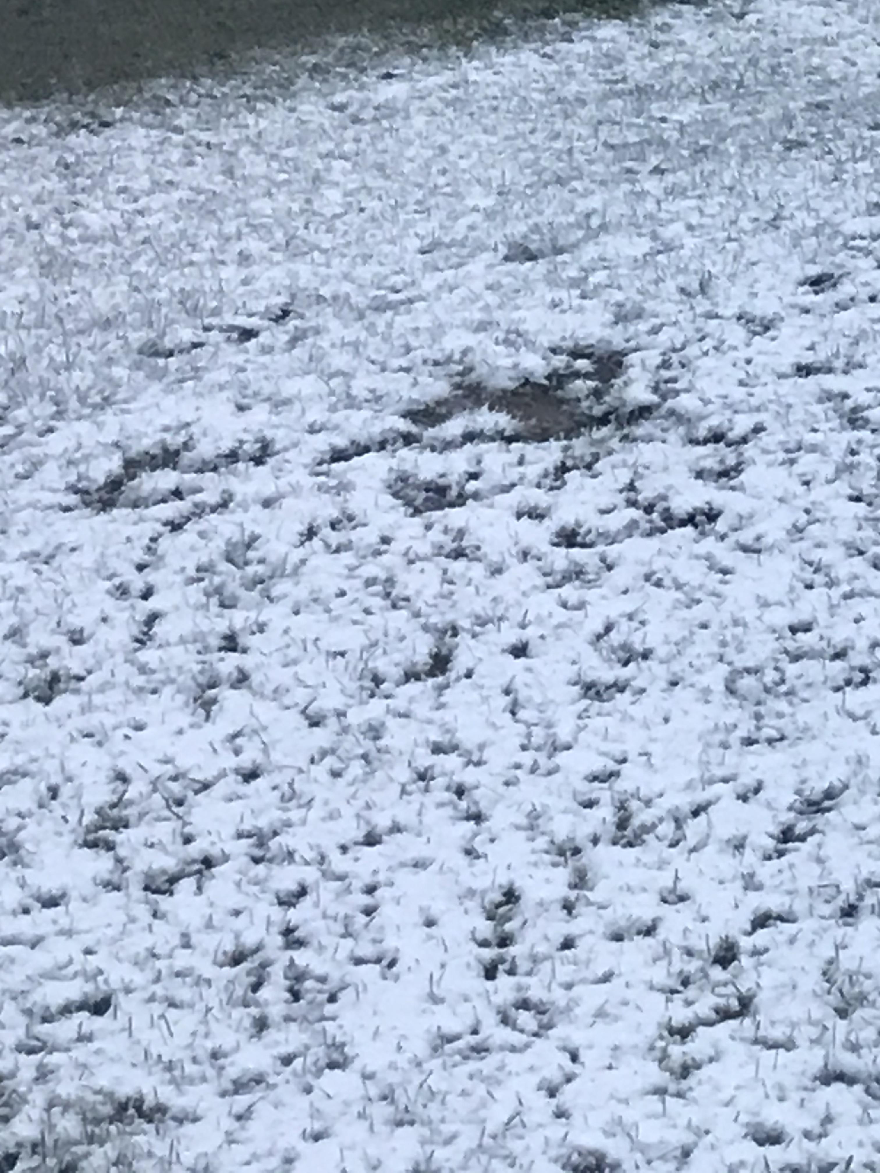 It’s starting | Scrolller