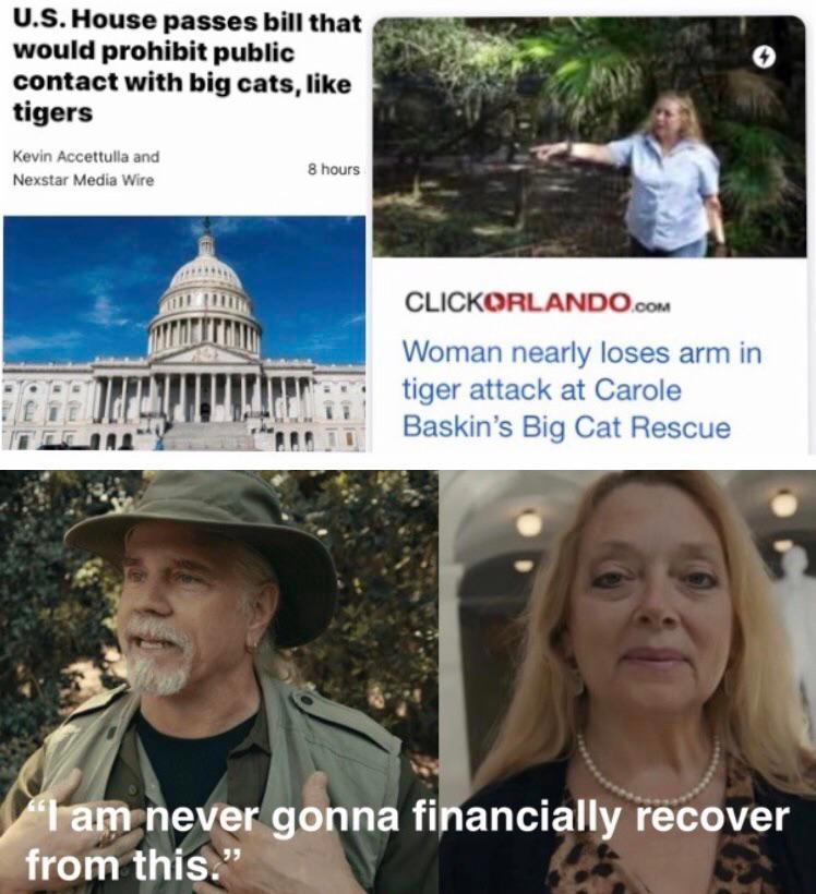 It sure has been an eventful week | Scrolller