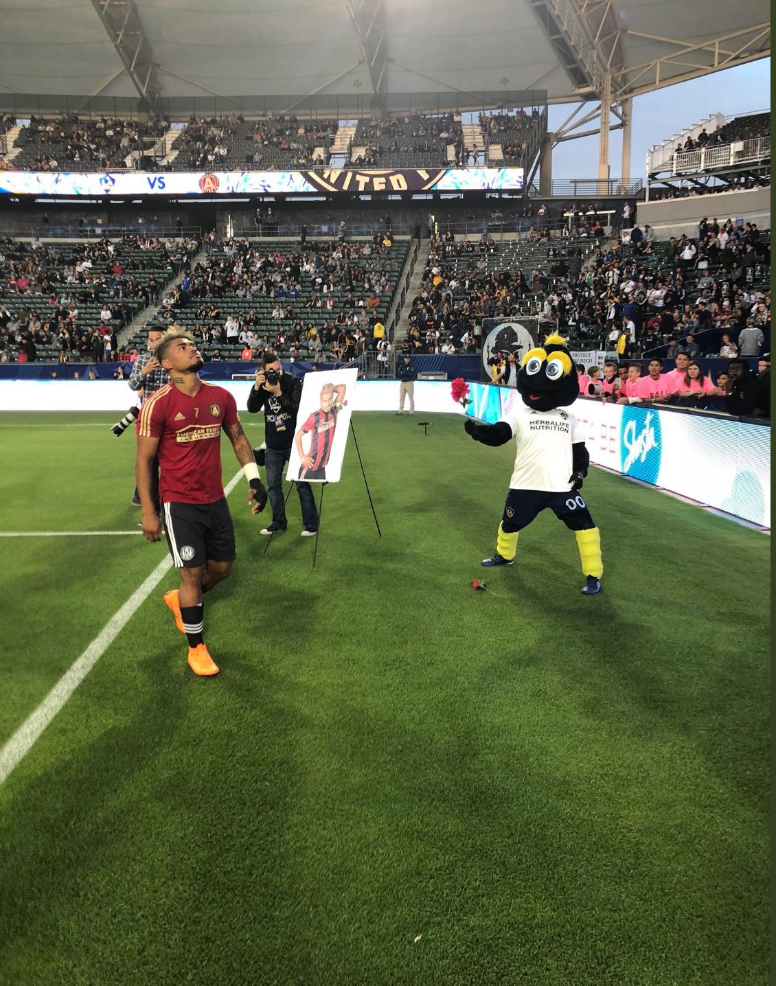 It was love at first sight | Scrolller