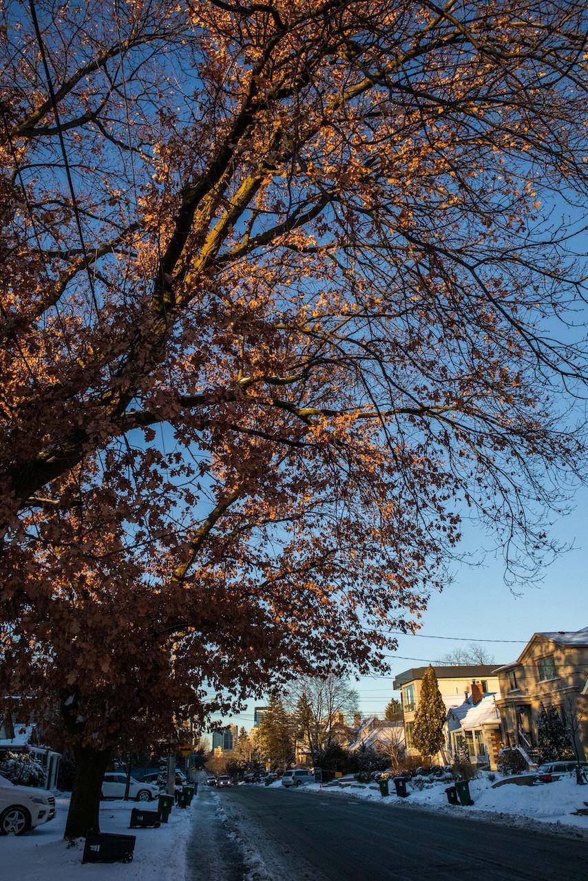ITAP a garbage day sunrise | Scrolller